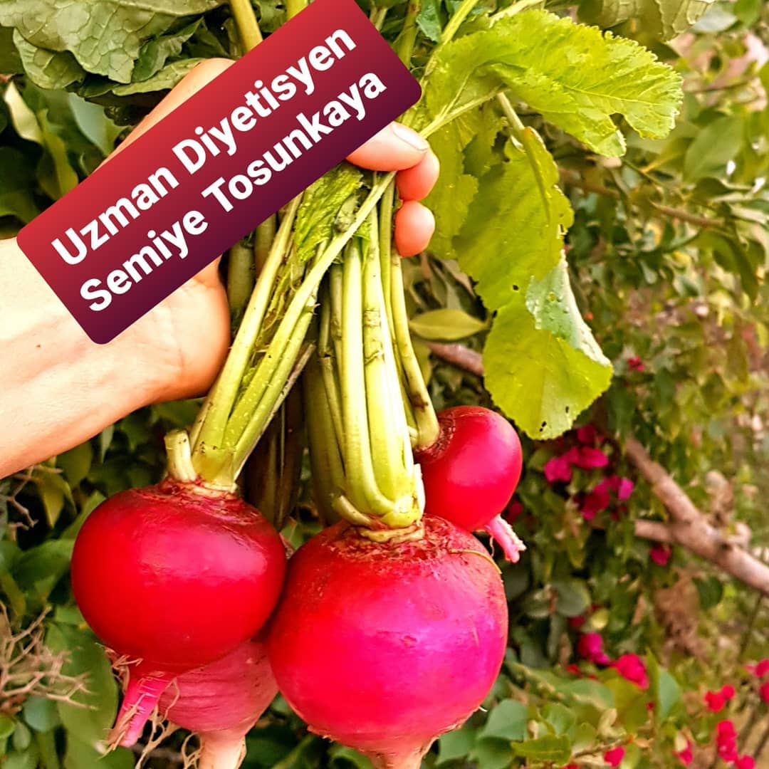 Kırmızı Turp | Uzman Diyetisyen Semiye Tosunkaya - ESAS Beslenme & Diyet